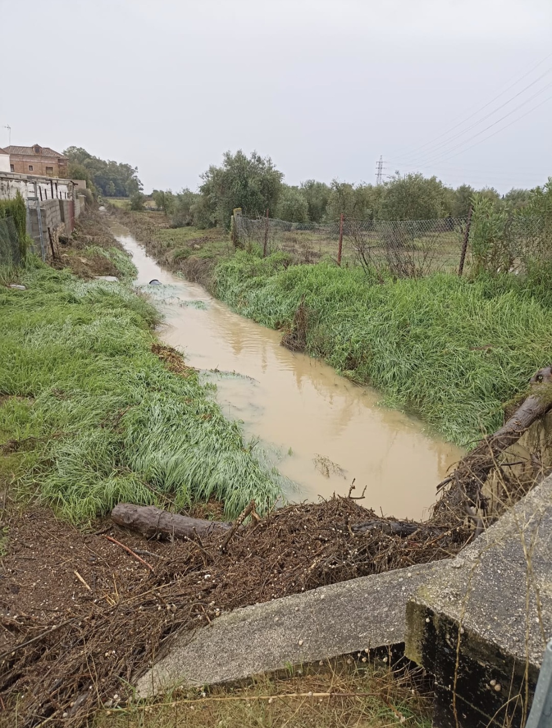 La lluvia dejó más de 100 litros en Utrera. Las inversiones de los ...